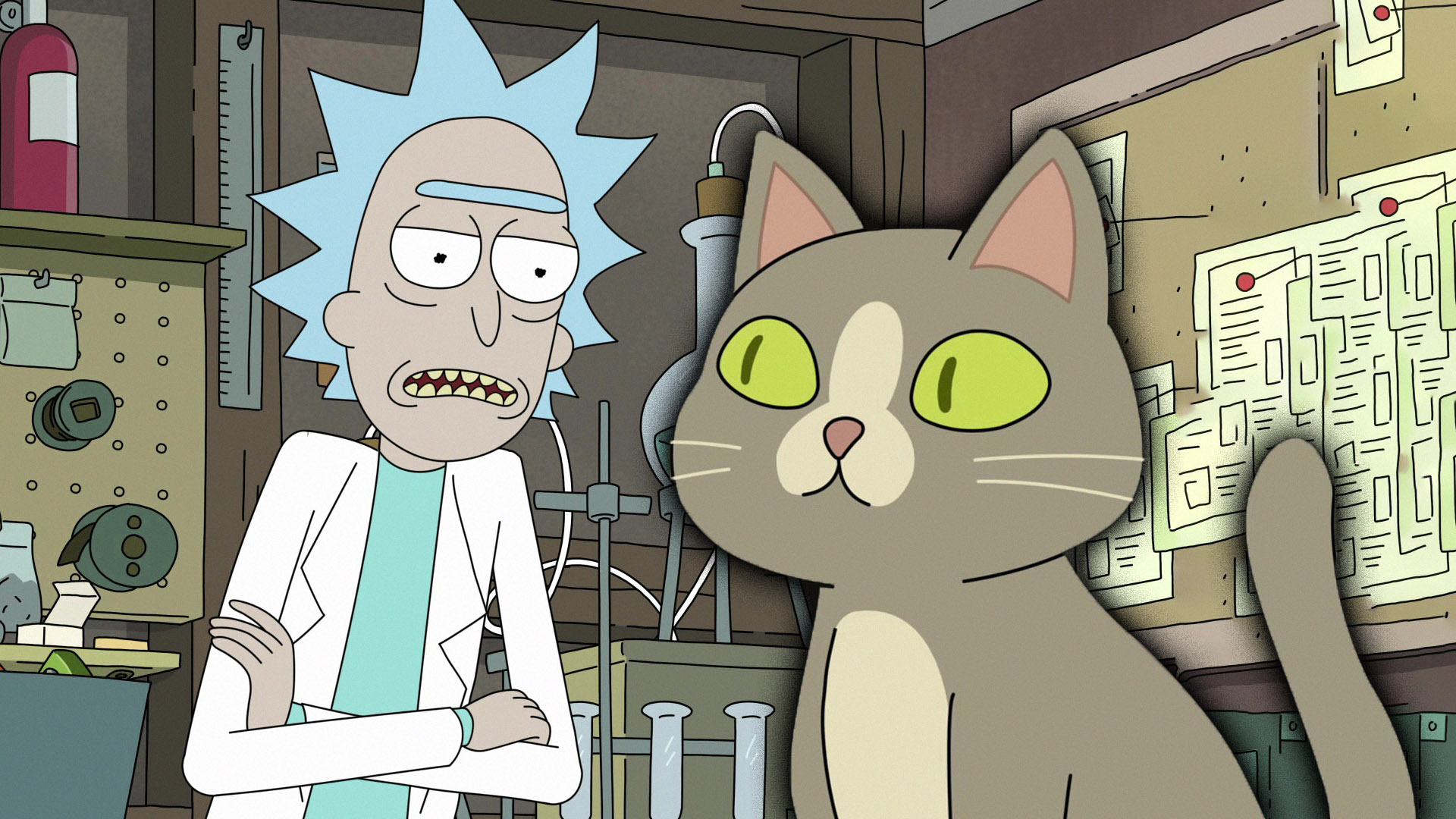5 Wild Fan Theories Behind Rick and Morty's Talking Cat (Which One Is ...